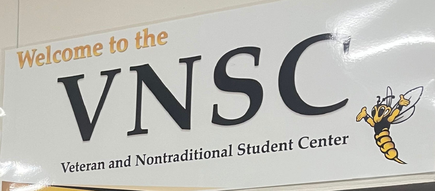 Social Synergy: Building Connections at VNSC - The Promethean